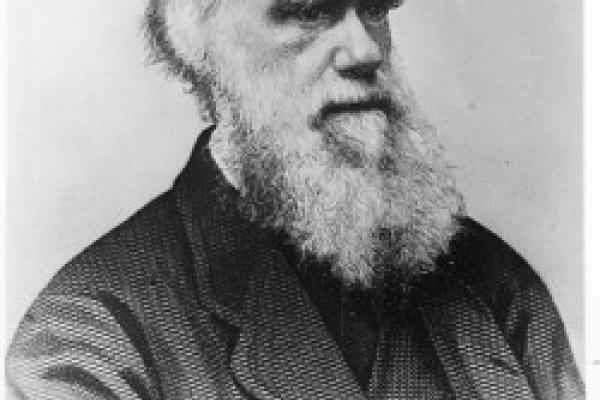 How Americans Celebrate Charles Darwin's Birthday | Sojourners