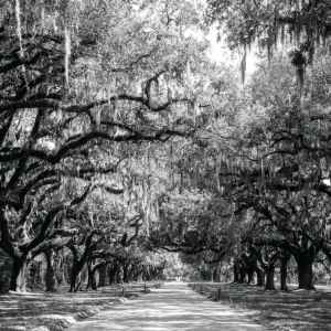 Jamar A. Boyd II | Sojourners